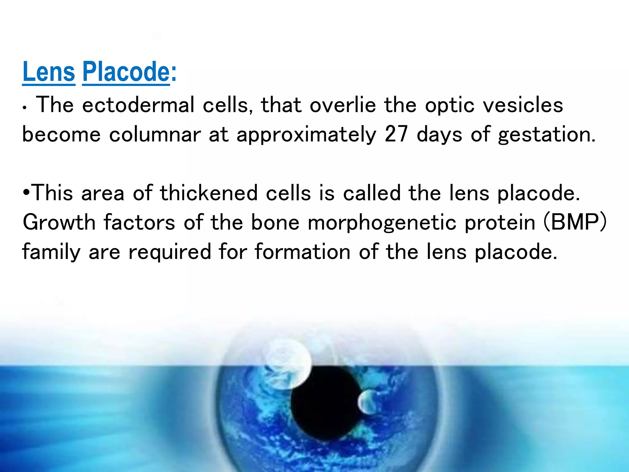 Embryology and developmental defects of lens | PPTX