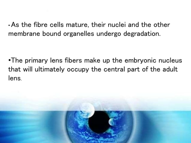 Embryology and developmental defects of lens | PPTX | Eye and Vision ...