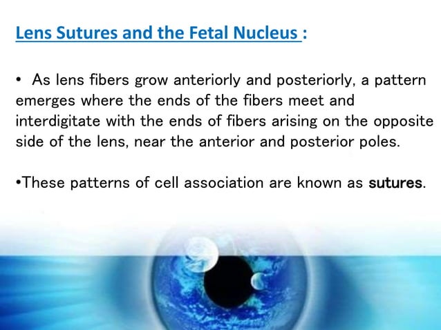 Embryology and developmental defects of lens | PPTX | Eye and Vision ...