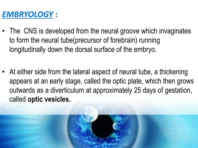 Embryology and developmental defects of lens | PPTX | Eye and Vision ...