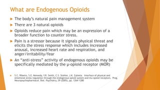 Opiates: A Look at an Increasing Problem | PPT