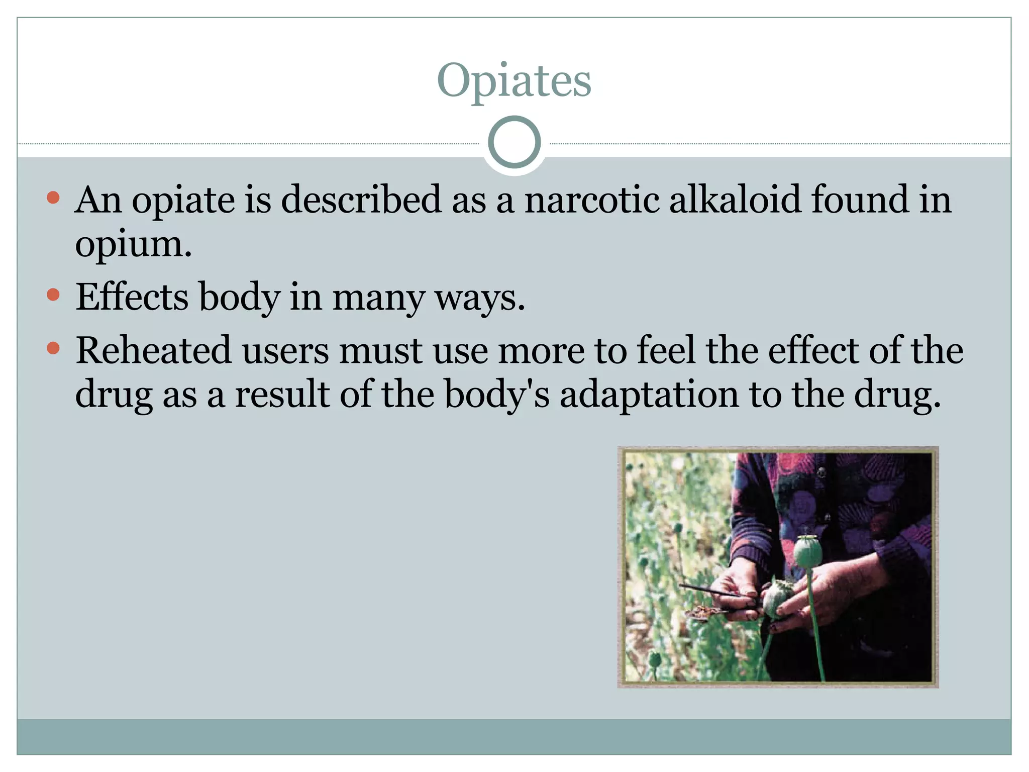Opiates In The Human Body | PPT | Illegal Drugs, Tobacco, eCigarettes ...