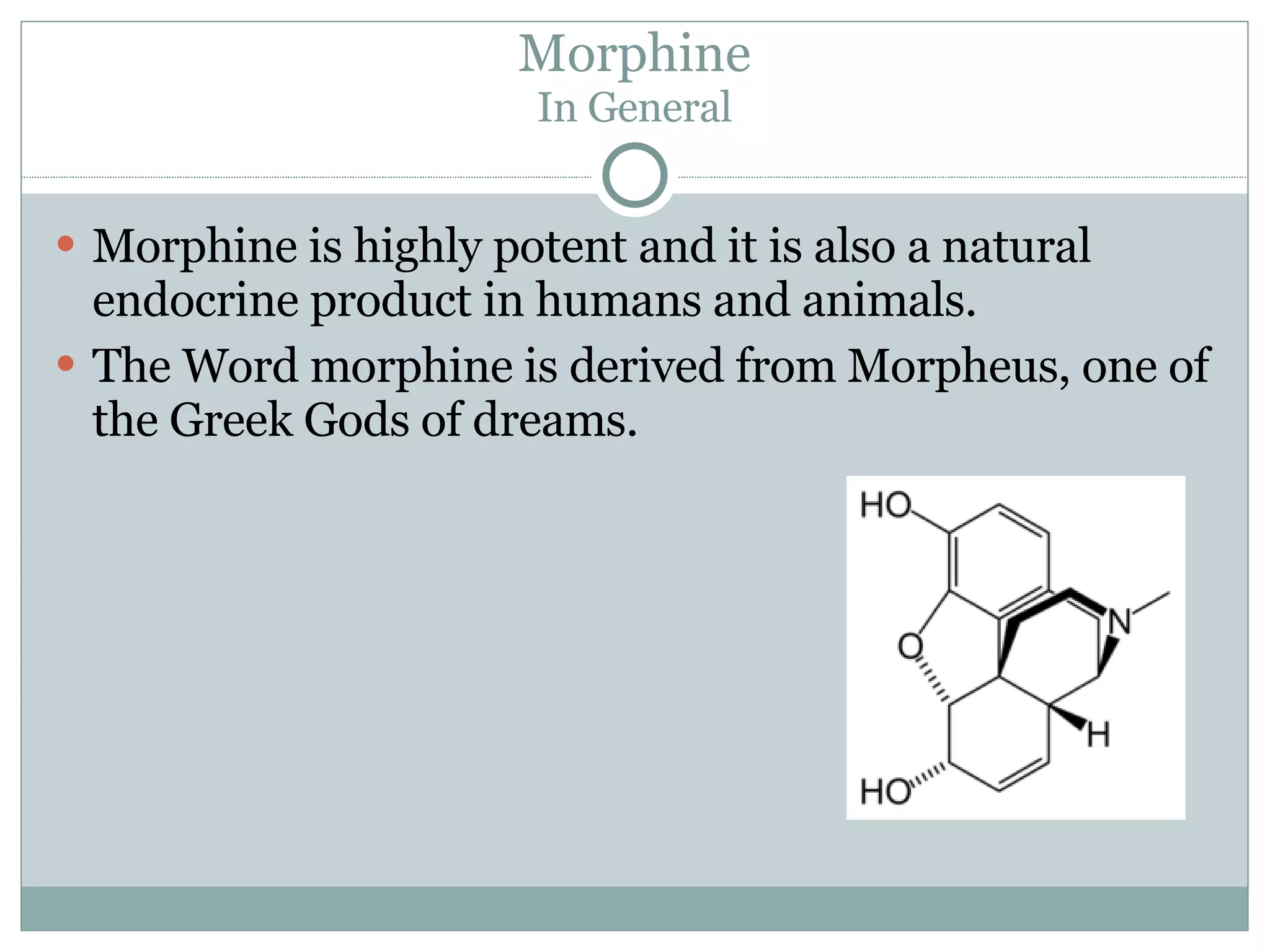 Opiates In The Human Body | PPT | Illegal Drugs, Tobacco, eCigarettes ...