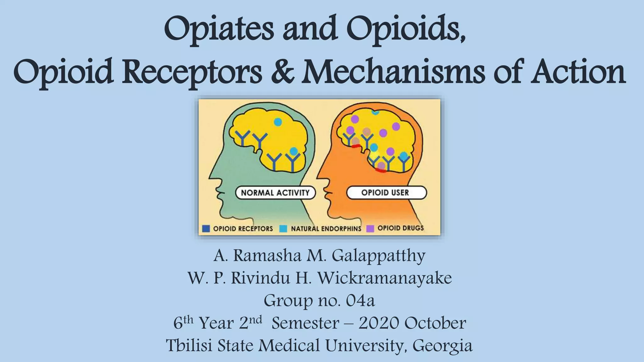 Opiates & opioids, receptors & mechanism | PPTX