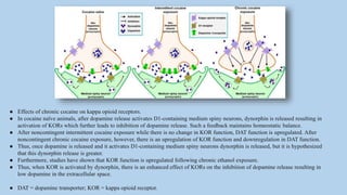 Opiates & opioids, receptors & mechanism | PPTX | Illegal Drugs ...