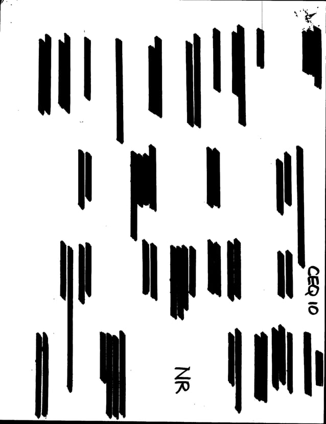 OPIC Released Documents 1-10 | PDF