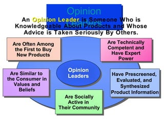 Group Influence & Opinion leader | PPT