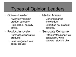 Group Influence & Opinion leader | PPT