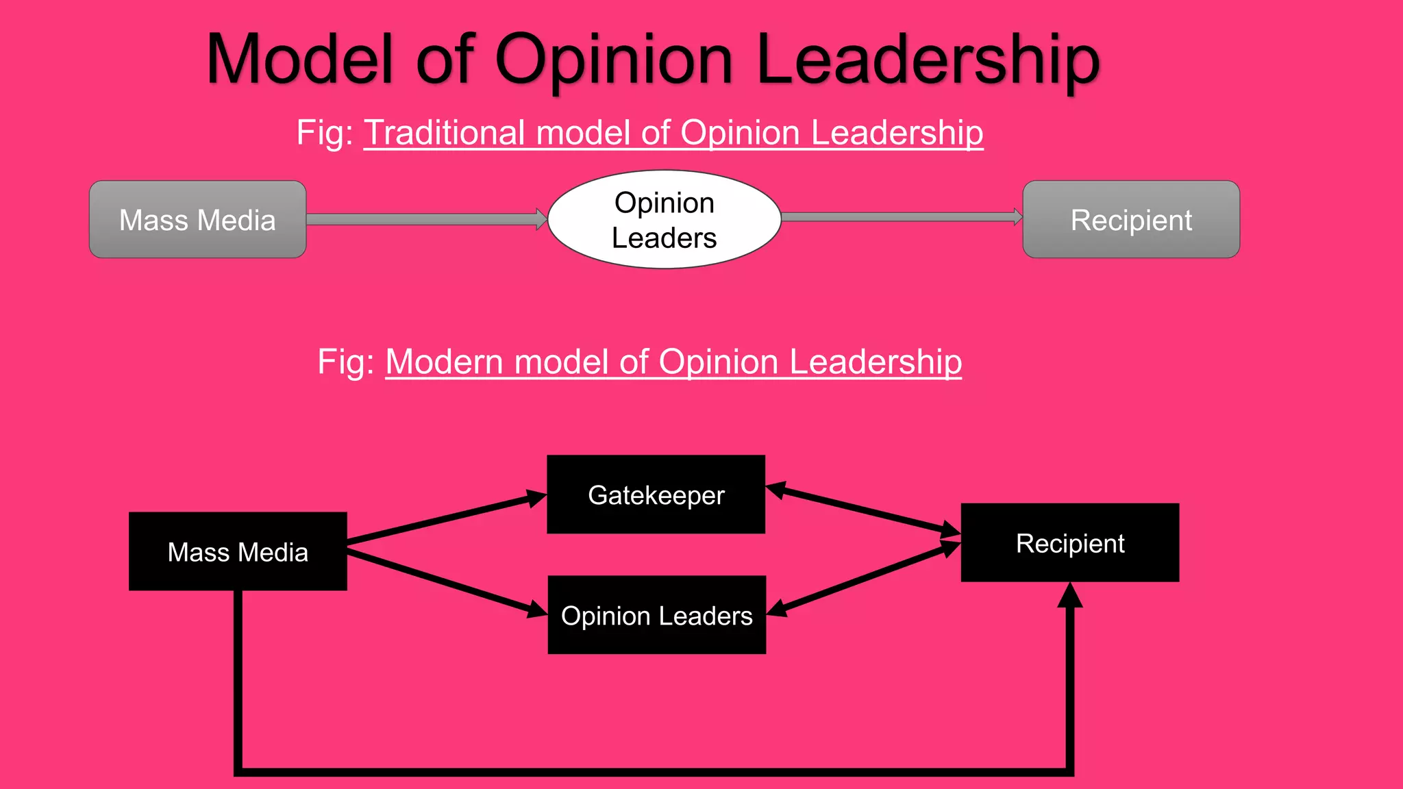 Role of Opinion leaders in consumer behaviour | PPTX