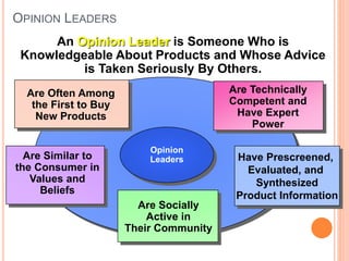 Opinion leadership | PPTX