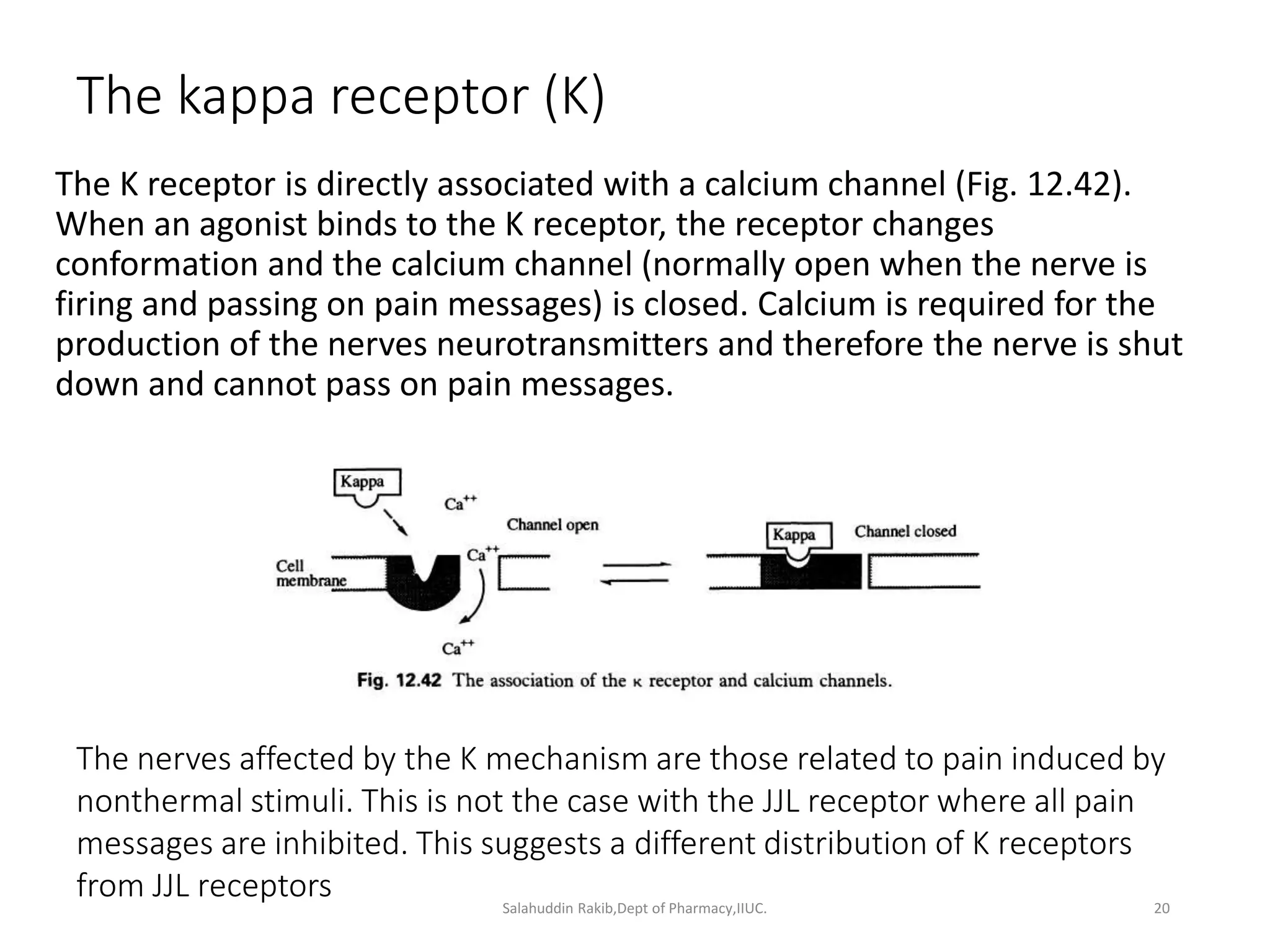 Opioid analgesics Medicinal Chemistry-IIUC | PPTX