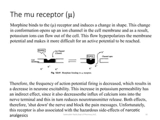 Opioid analgesics Medicinal Chemistry-IIUC | PPTX