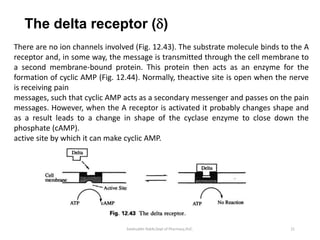 Opioid analgesics Medicinal Chemistry-IIUC | PPTX