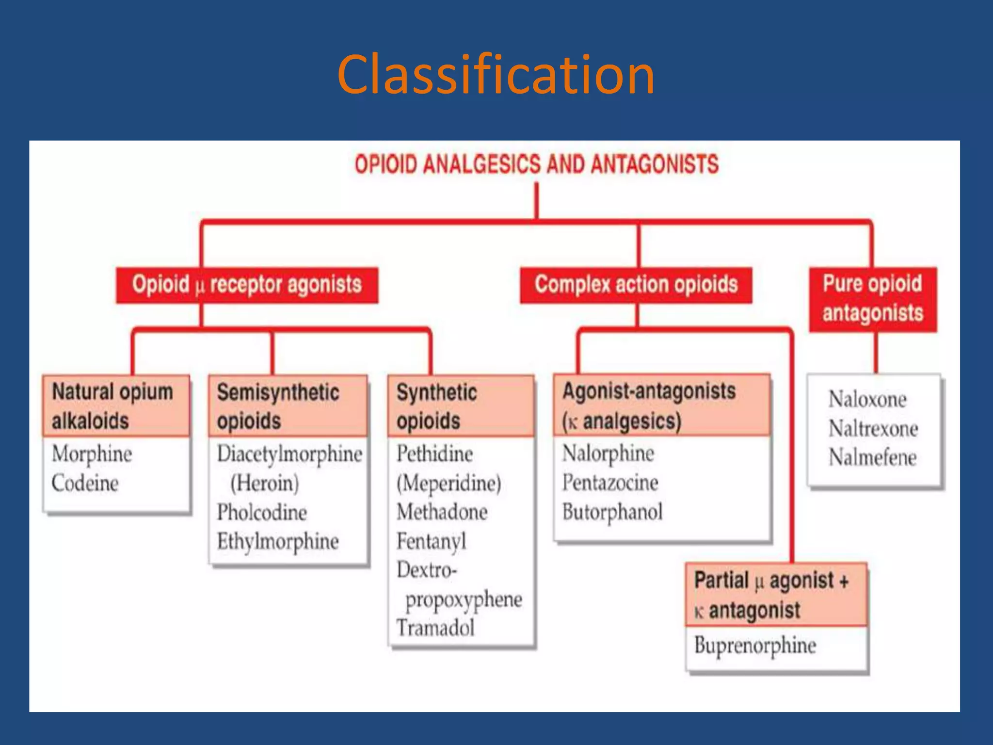 Opiod analgesics | PPTX