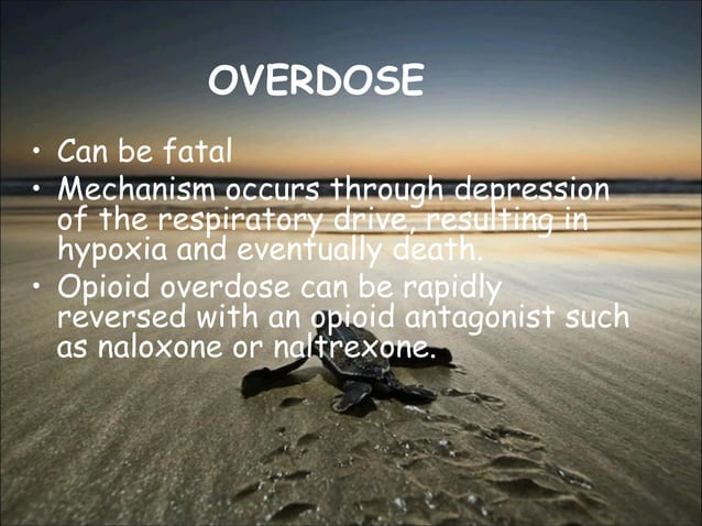 Opiod analgesics by Dr. Amit T. Suryawanshi | PPT