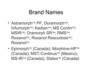 Opiod Overview Review | PPT