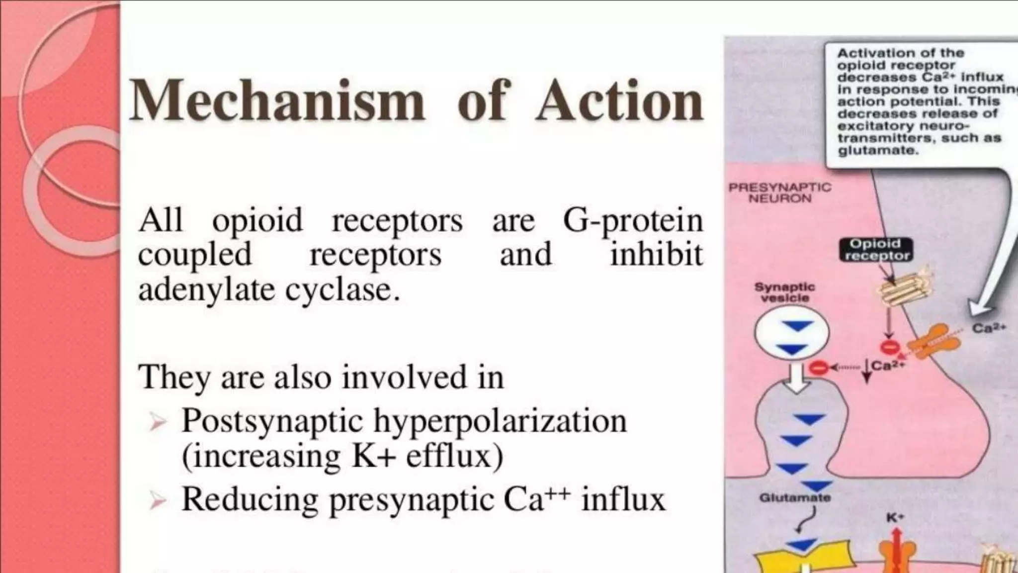 opiods.pptx