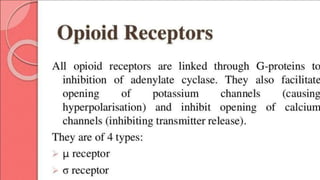 opiods.pptx