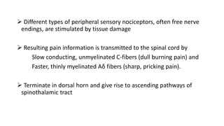 OPIODS AND ITS CLASSIFICATION WITH IMP POINTS | PPTX