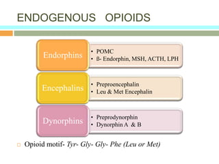 Opioids | PPT