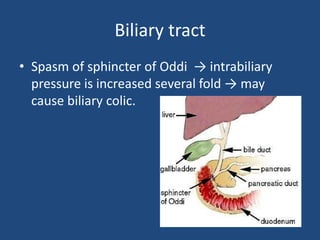 Opioid analgesics | PPTX