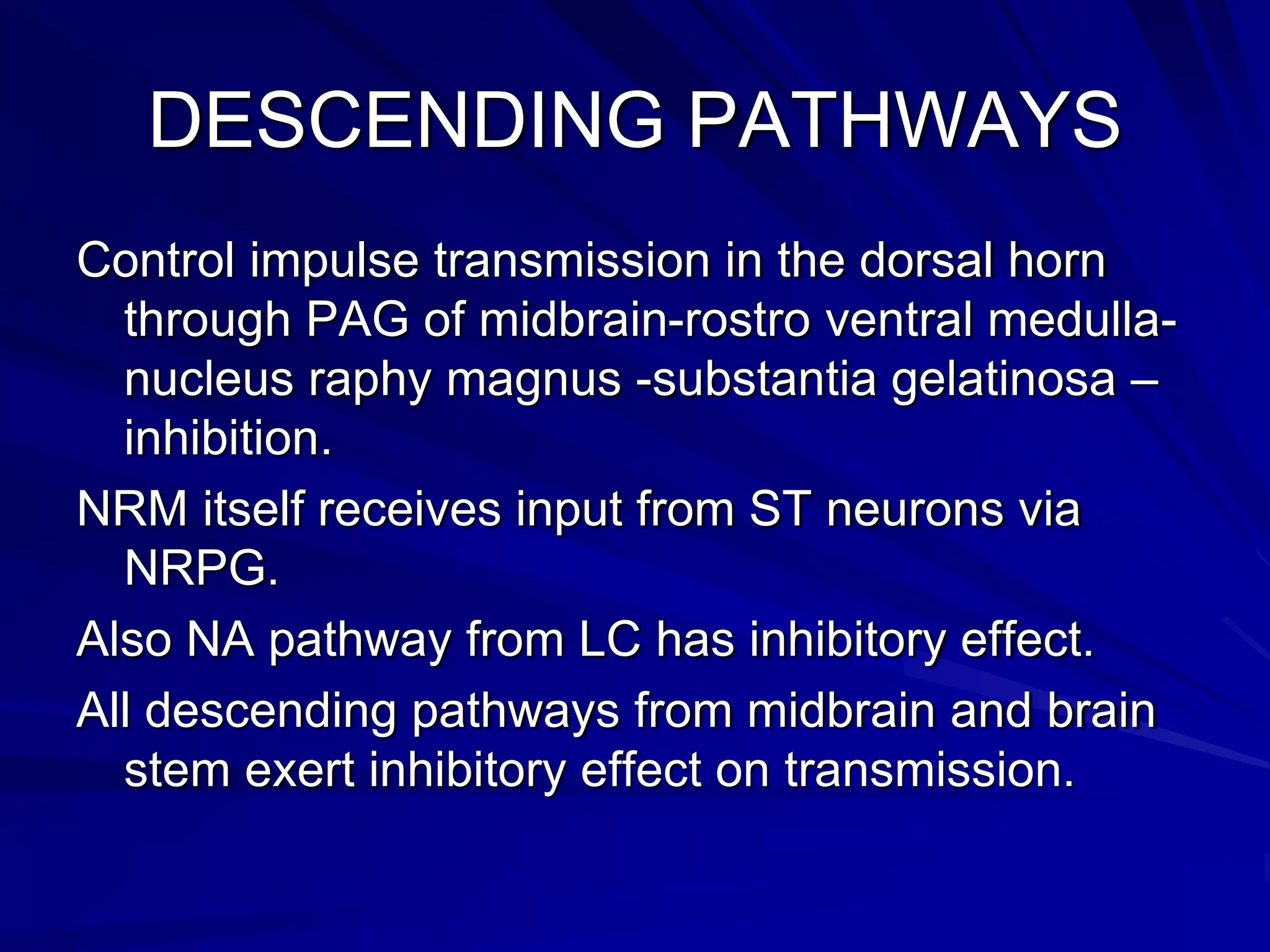 opioid analgesics.ppt