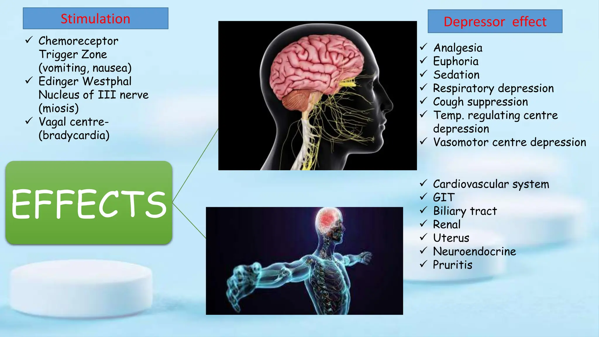 Opioid Receptors and the opioid analgesics | PPTX