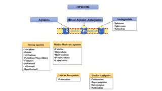 OPIOID ANALGESICS by Dr. Monika lall.pptx