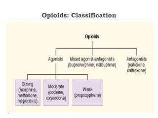 Opioid analgesics and antagonists | PPTX