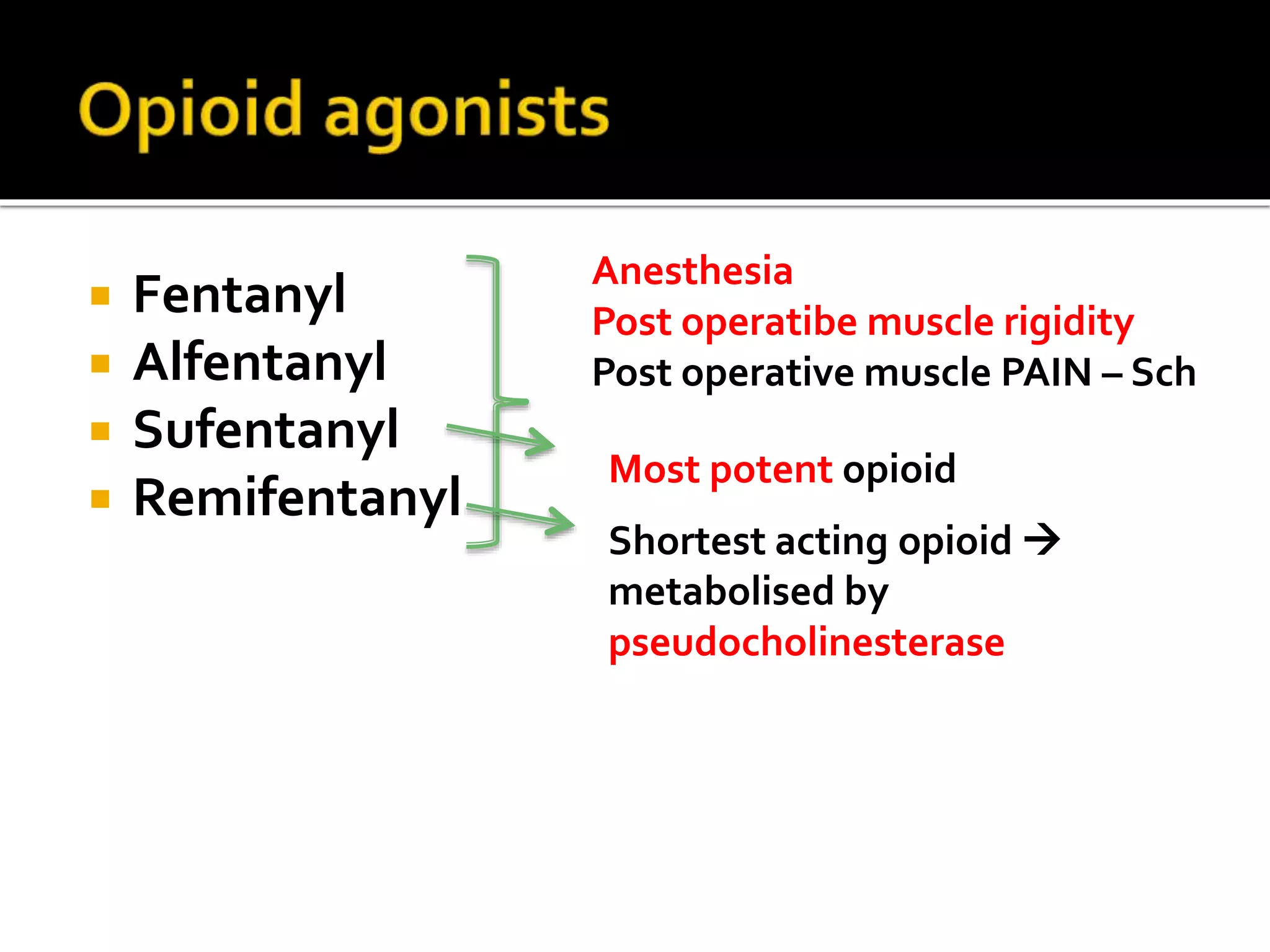 Opioid analgesics nursing | PPTX