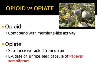 Opioid analgesics nursing | PPTX