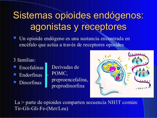 Opioides Endogenos