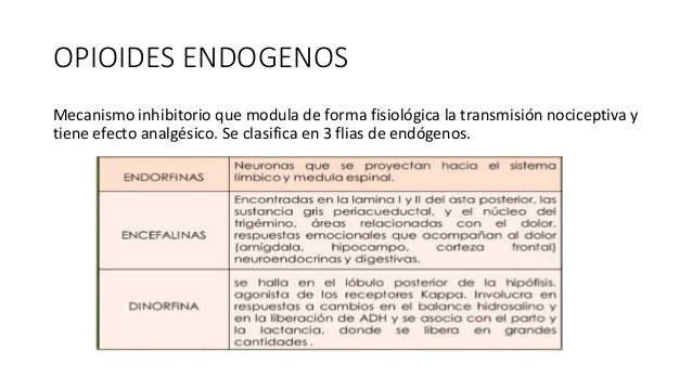 Opioides Endogenos