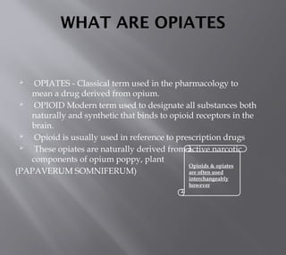 Opioid Overdose: Pathophysiology, Clinical Presentation, Diagnosis ...