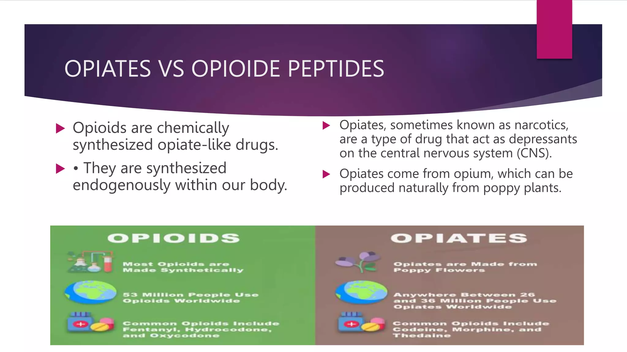OPIOID PEPTIDES AND OPIOID RECEPTORS sachin-2.pptx
