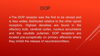 What are the types of Opioid receptors ? | PPTX