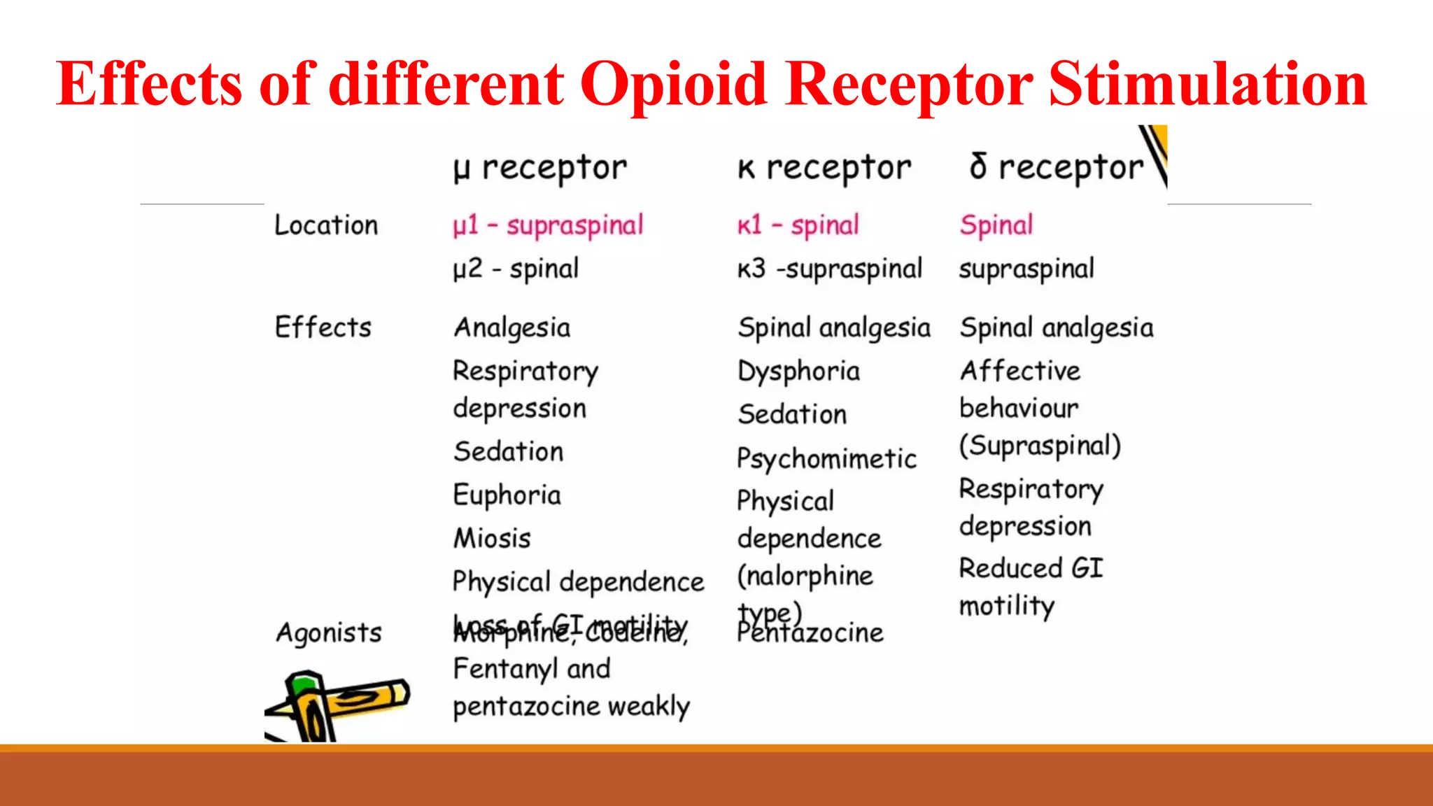 Opioids | PPT