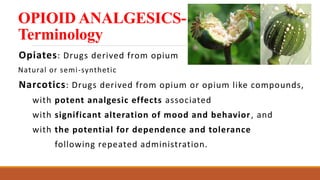 Opioids | PPTX
