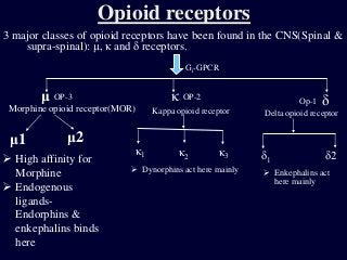 Opioids Analgesics | PPT