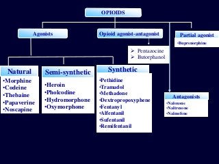 Opioids Analgesics | PPT