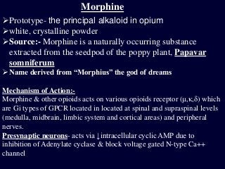 Opioids Analgesics | PPT