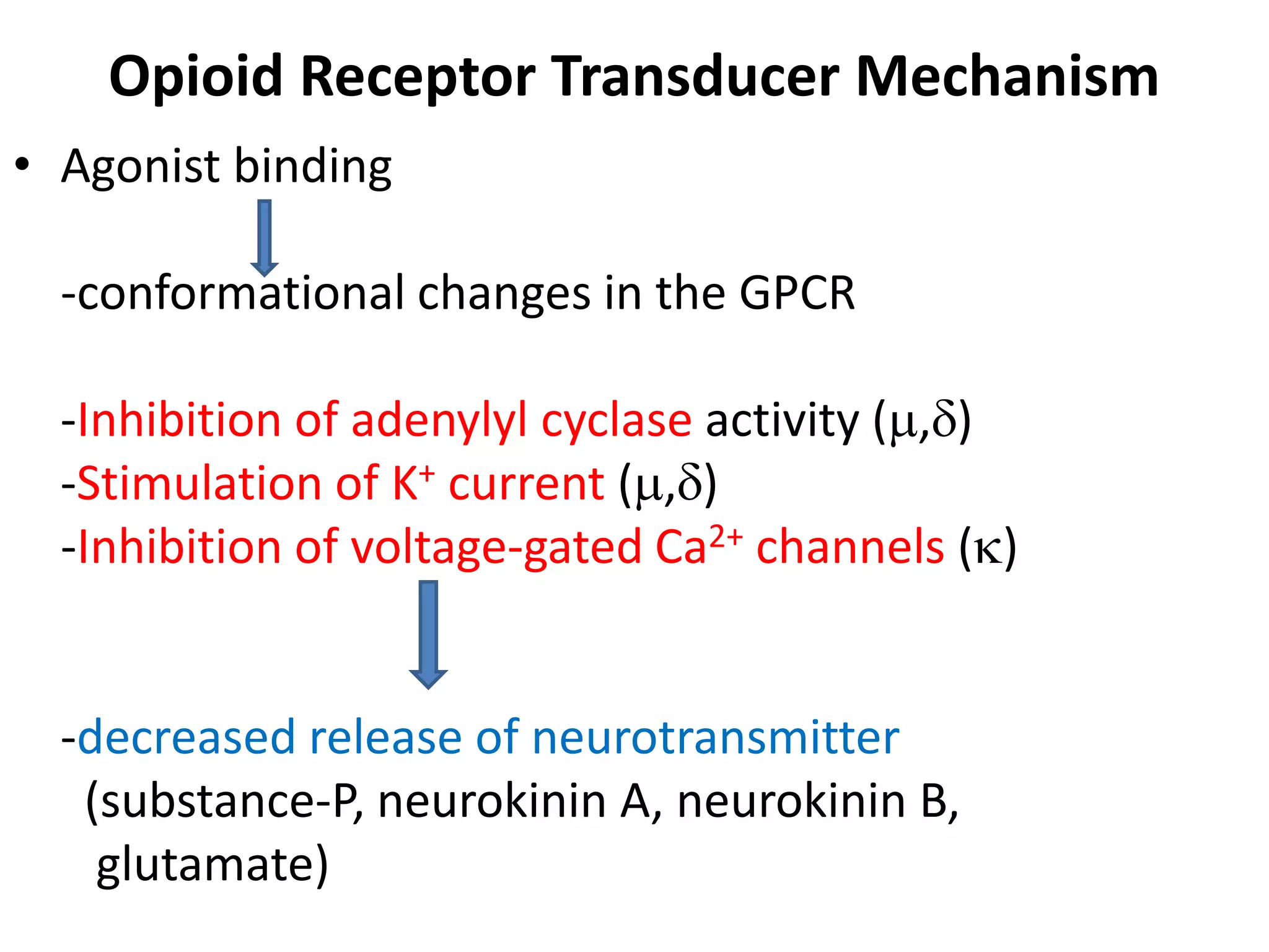 Pharmacology of Opioids | PPT