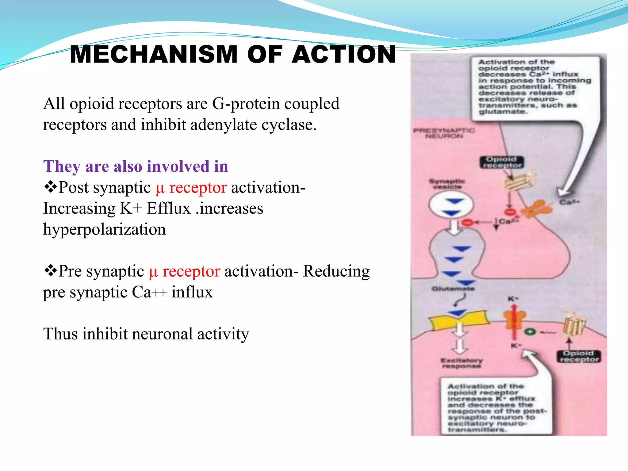Opioids analgesics medichem i | PPTX
