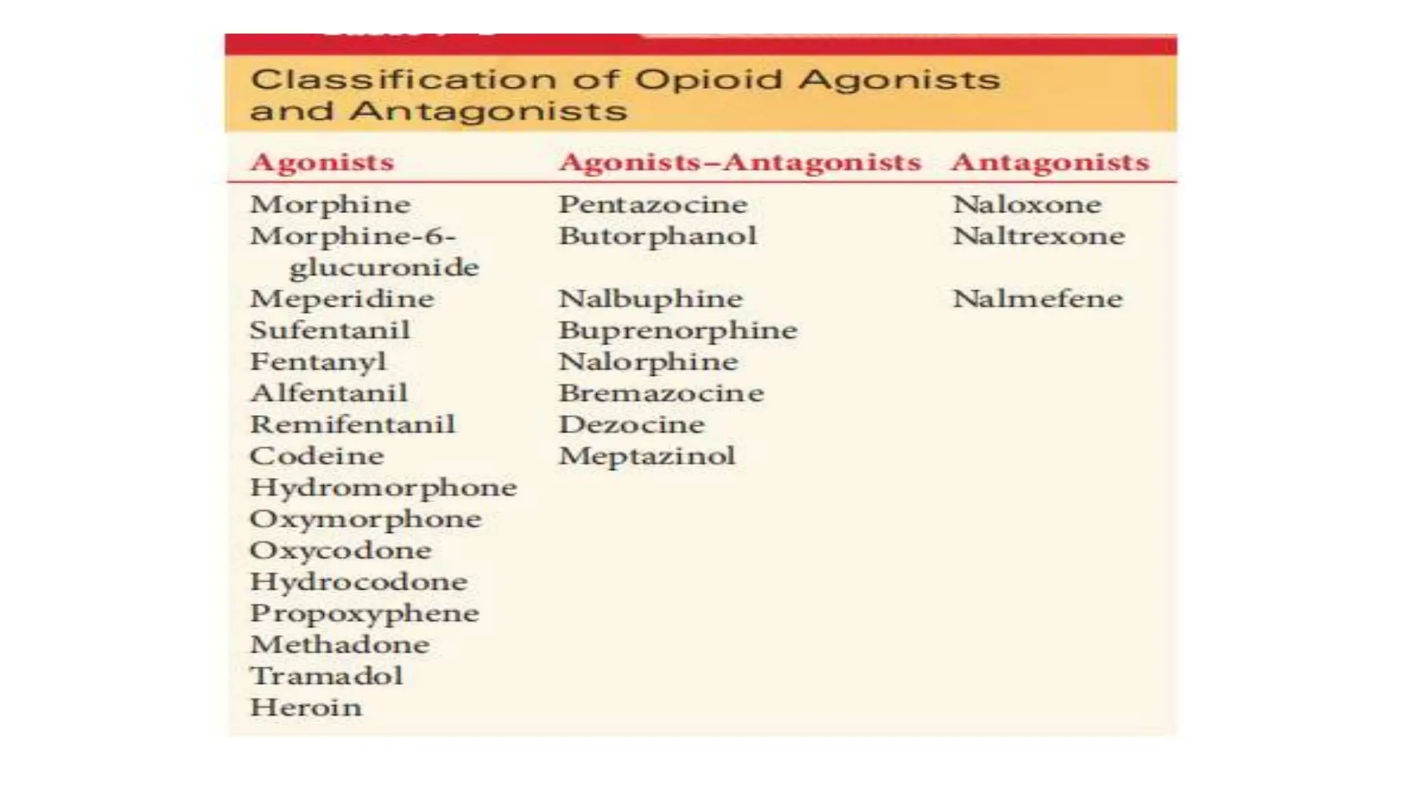 opioids main ppt.pptx