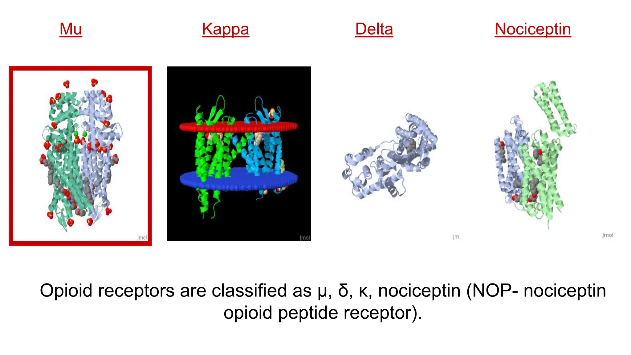 opioids main ppt.pptx