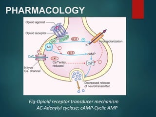 Opioid use disorders | PPTX