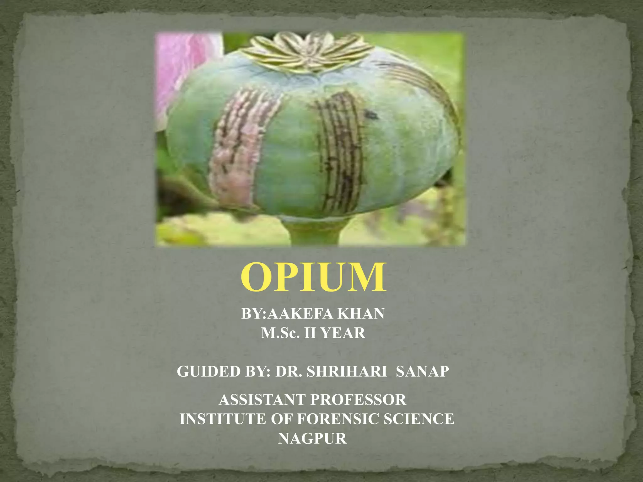 Opium | PPTX