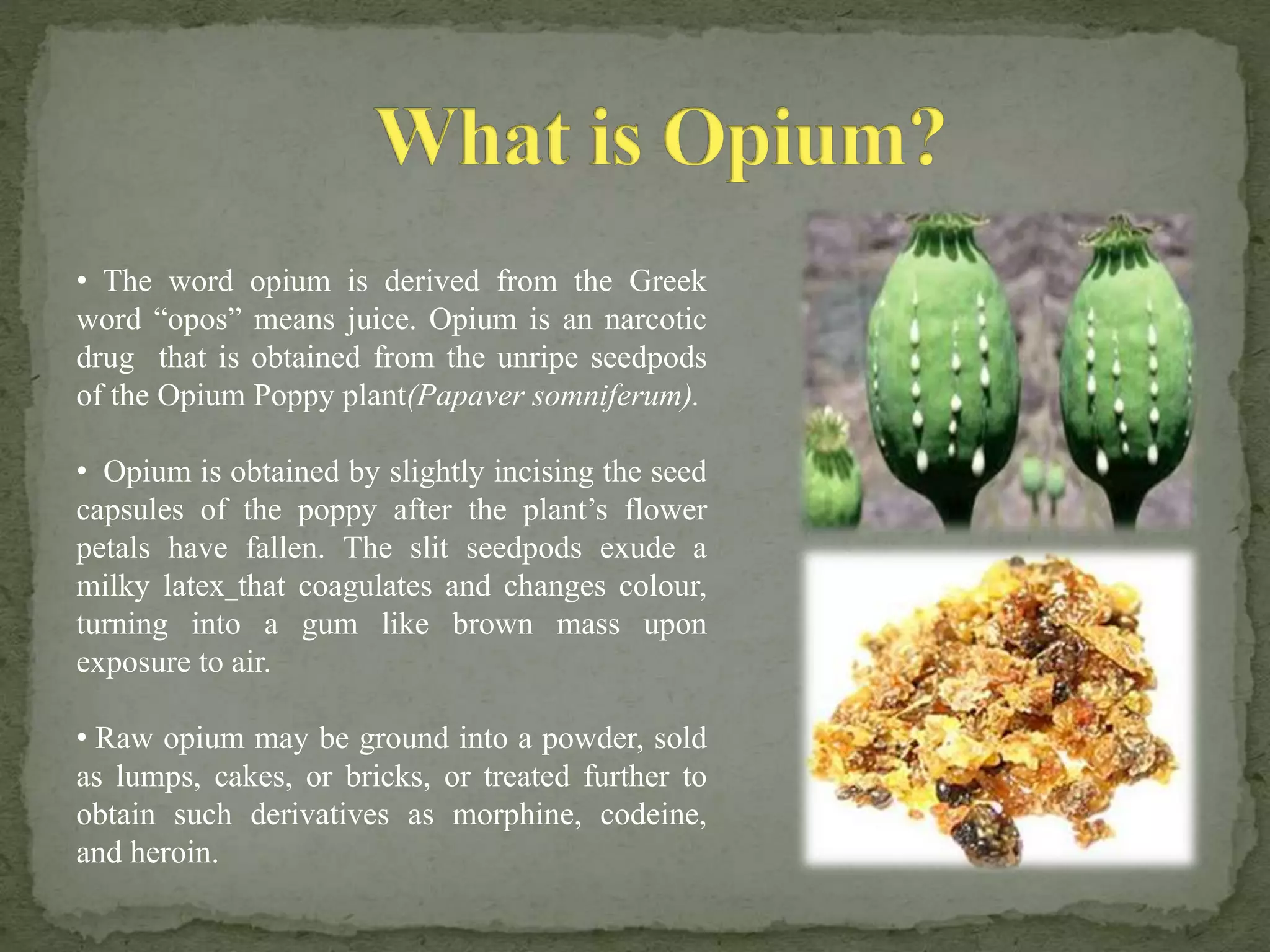 Opium | PPTX