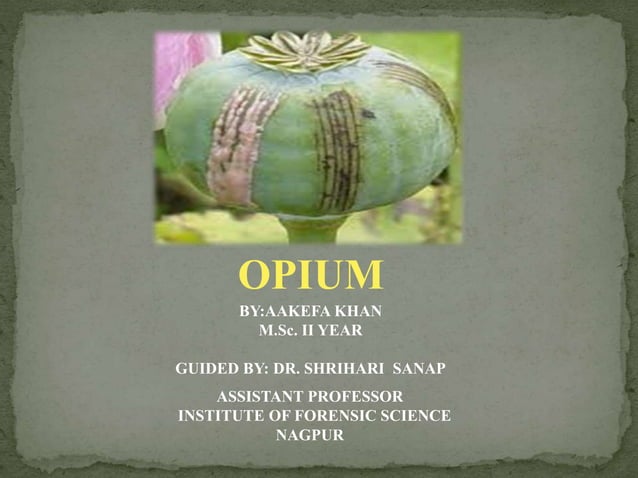 Opium | PPT