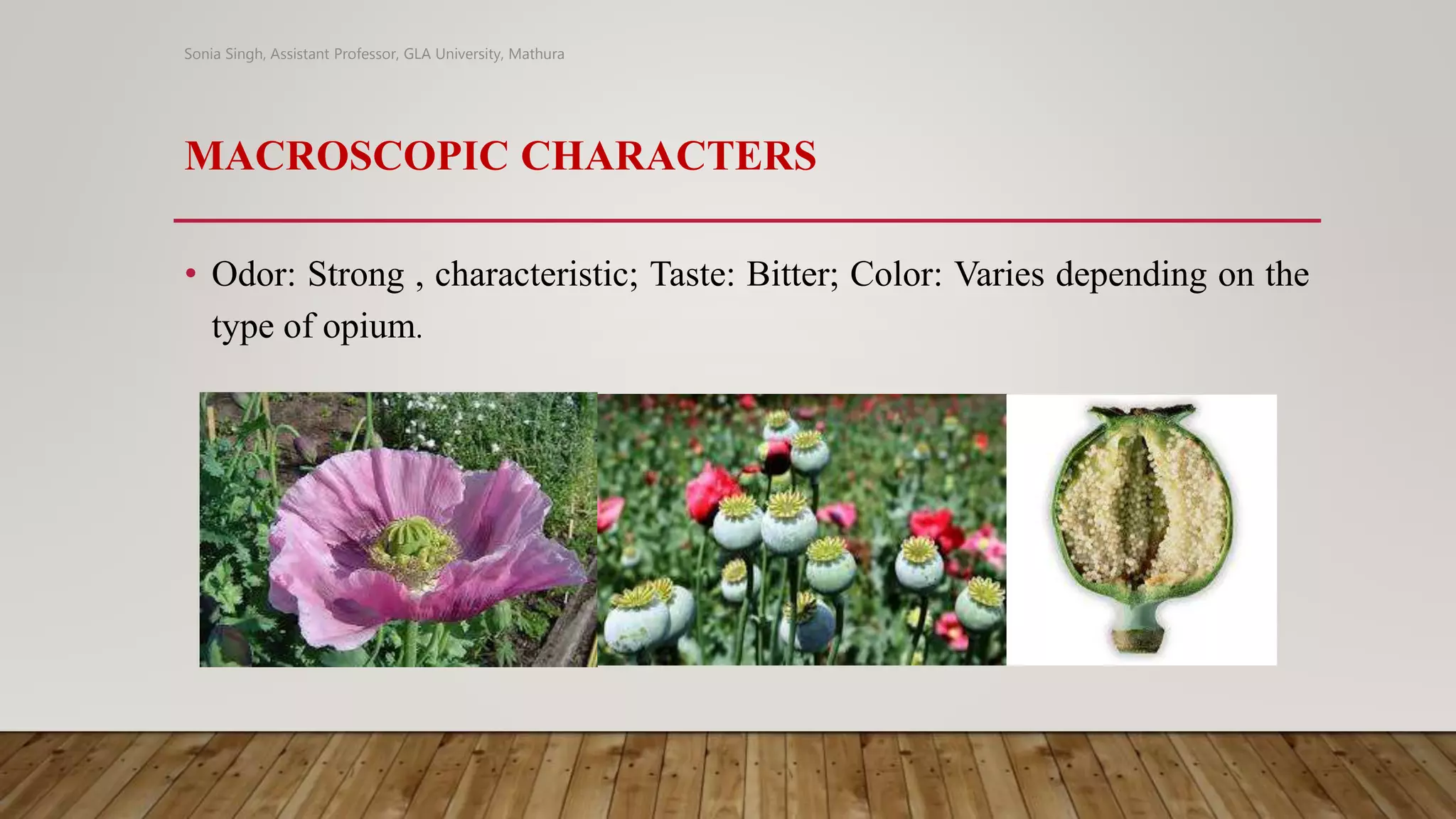 Opium: Biological source, Cultivation and collection, Morphology | PPTX